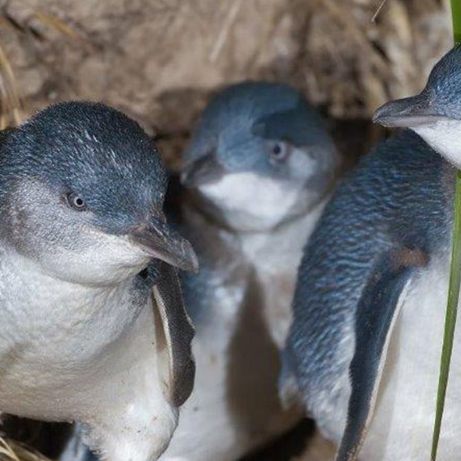 Venture Timaru Tourism - Family Fun