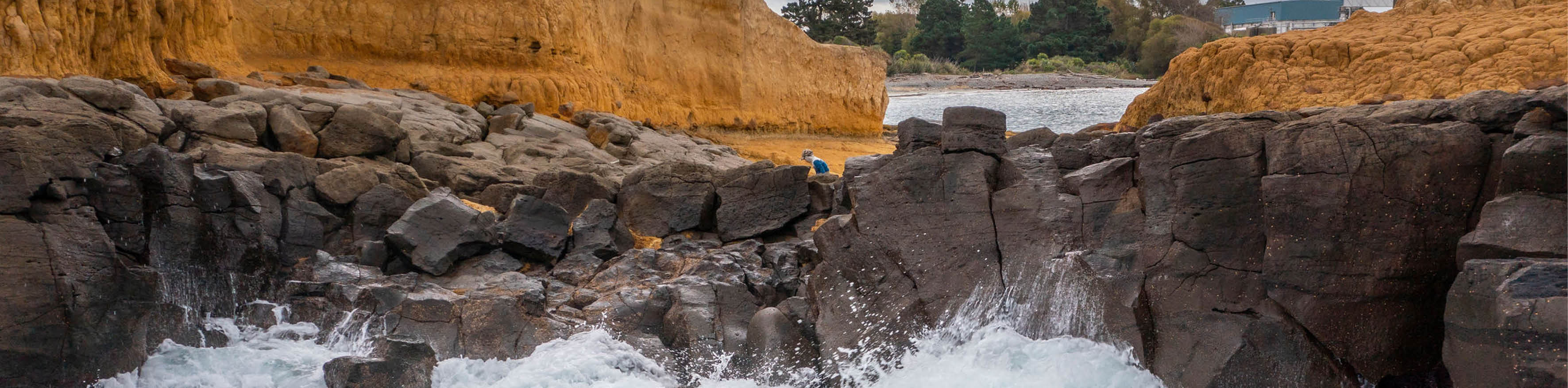 Venture Timaru Tourism - Top 5 walks in the Timaru District