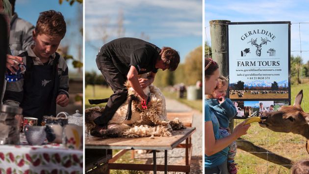 Venture Timaru Tourism - Wildlife