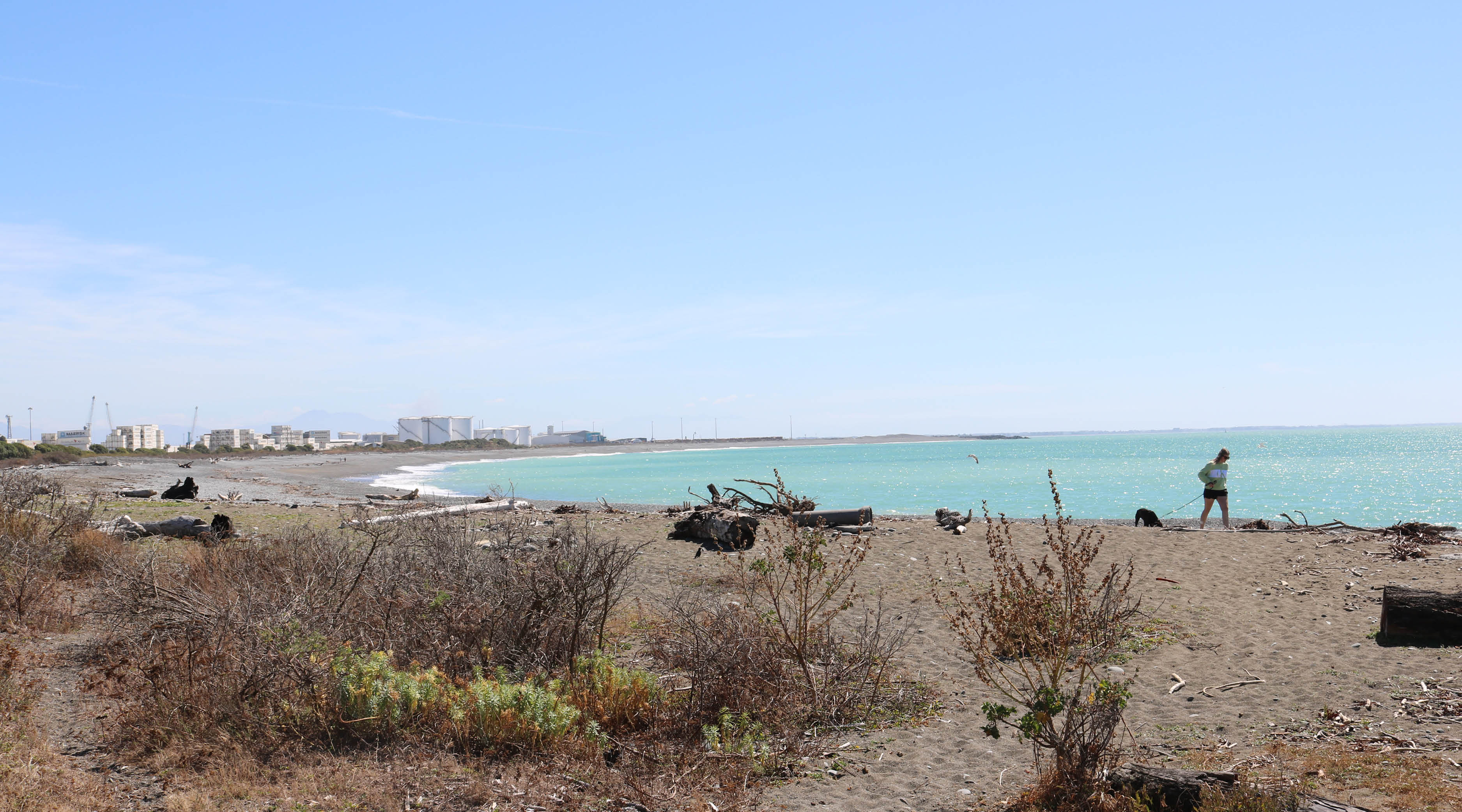 Venture Timaru Tourism - Coastal Track
