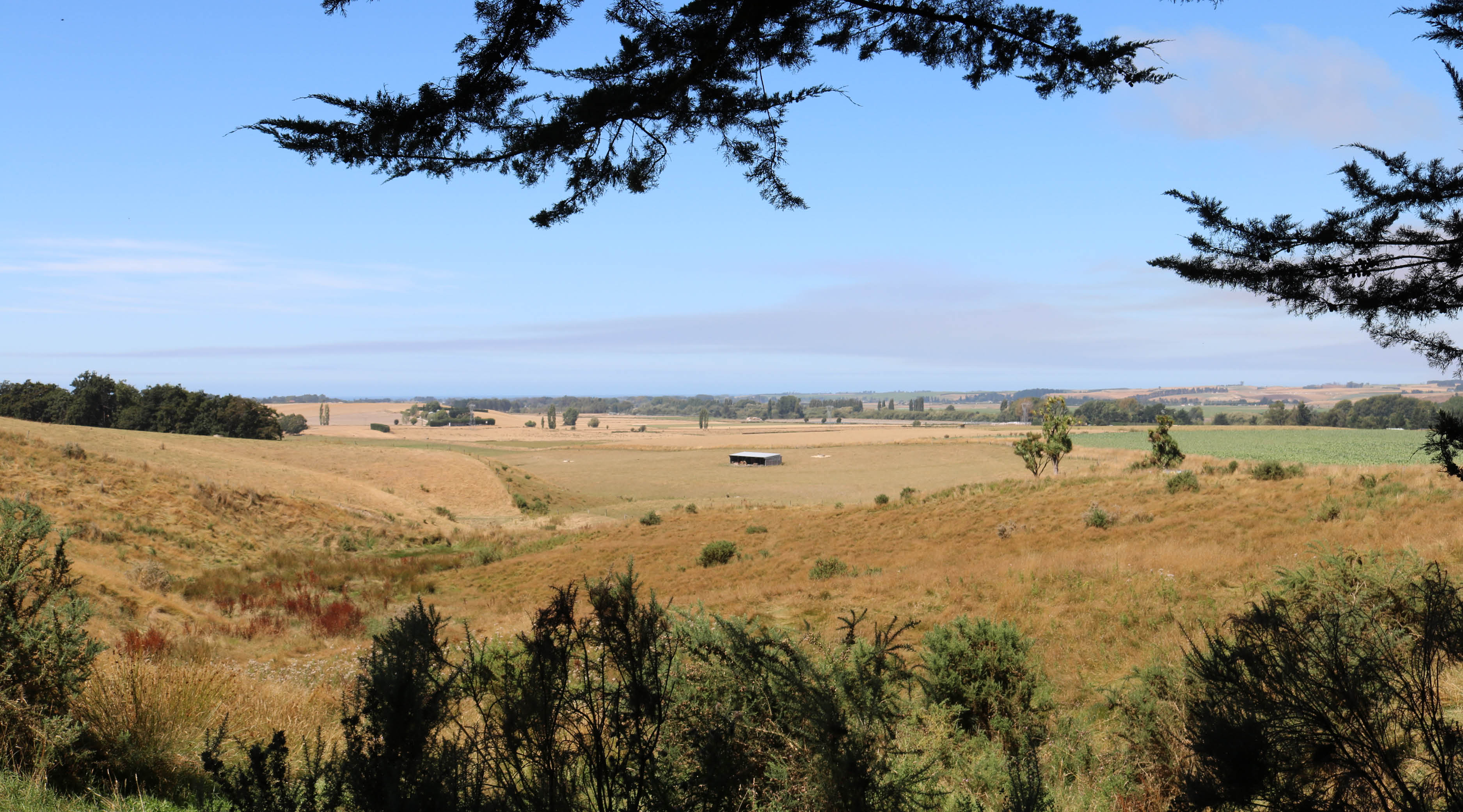 Venture Timaru Tourism - Claremont Bush Track