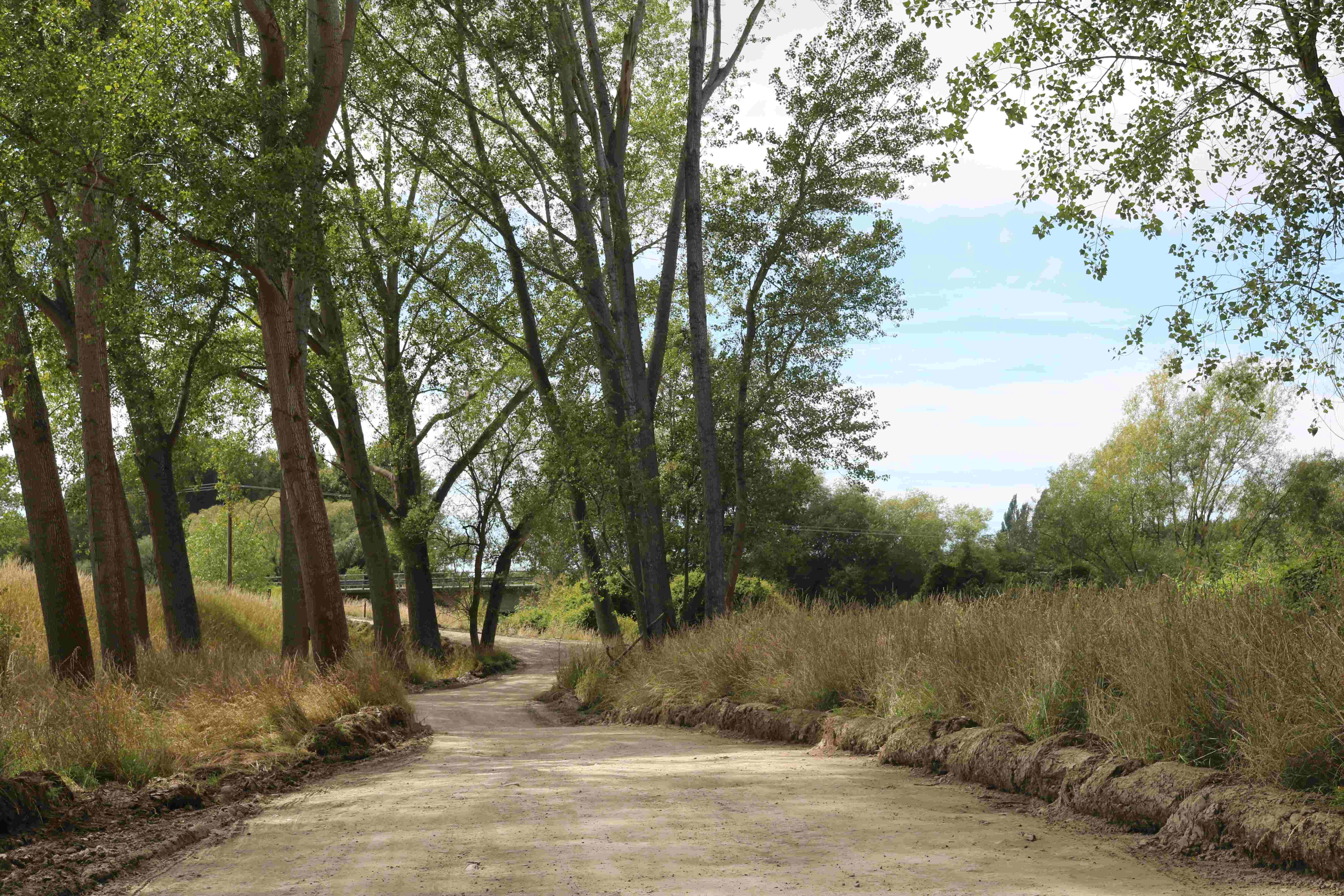 Venture Timaru Tourism - Opihi River Track