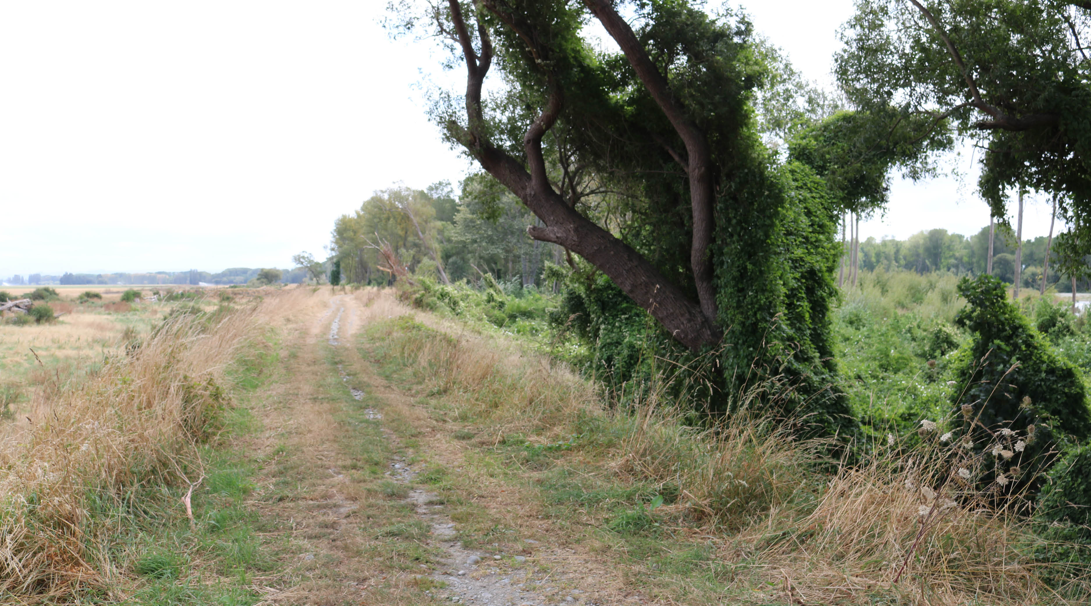 Venture Timaru Tourism - Opihi River Track
