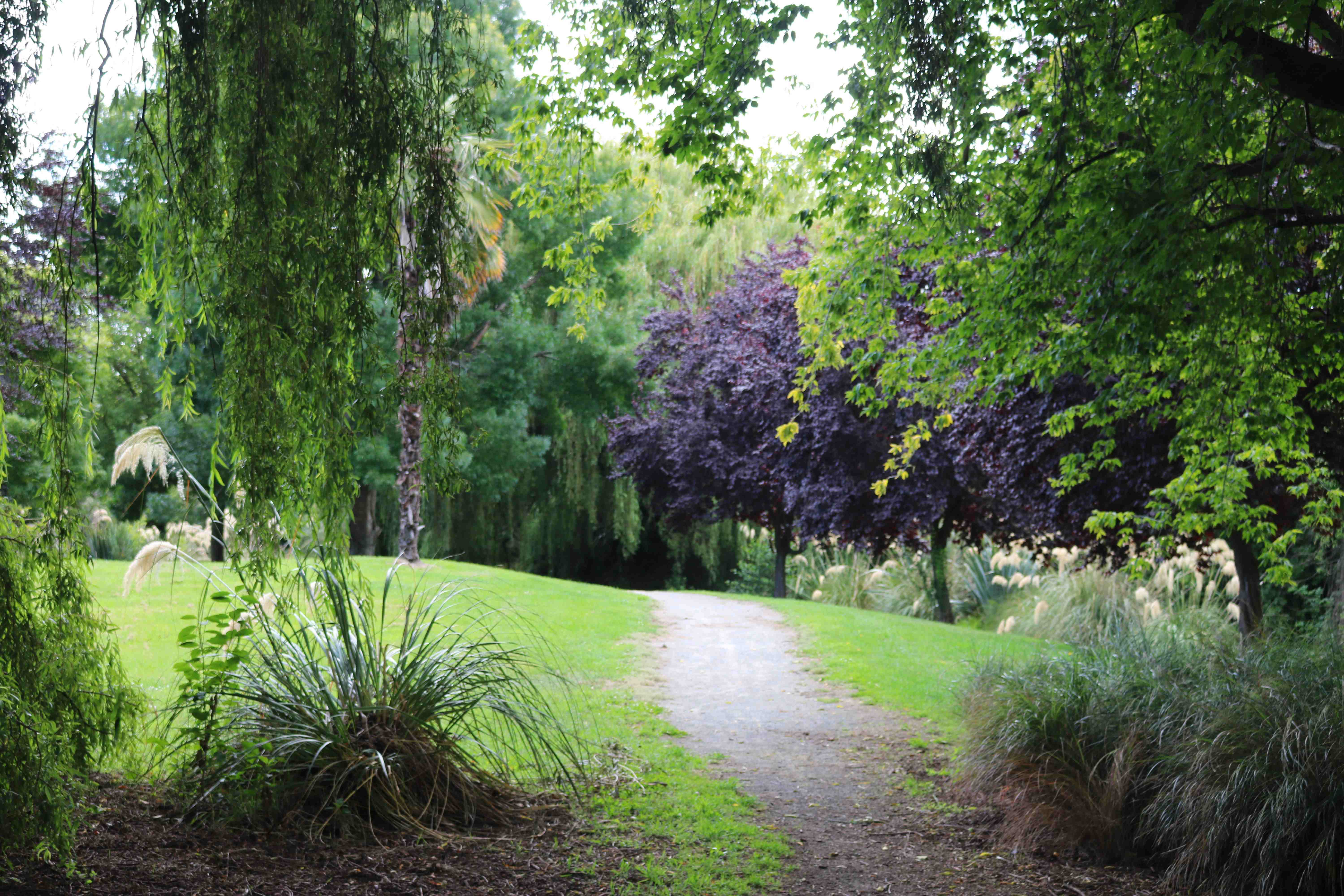 Venture Timaru Tourism - Taumatakahu Stream Reserve