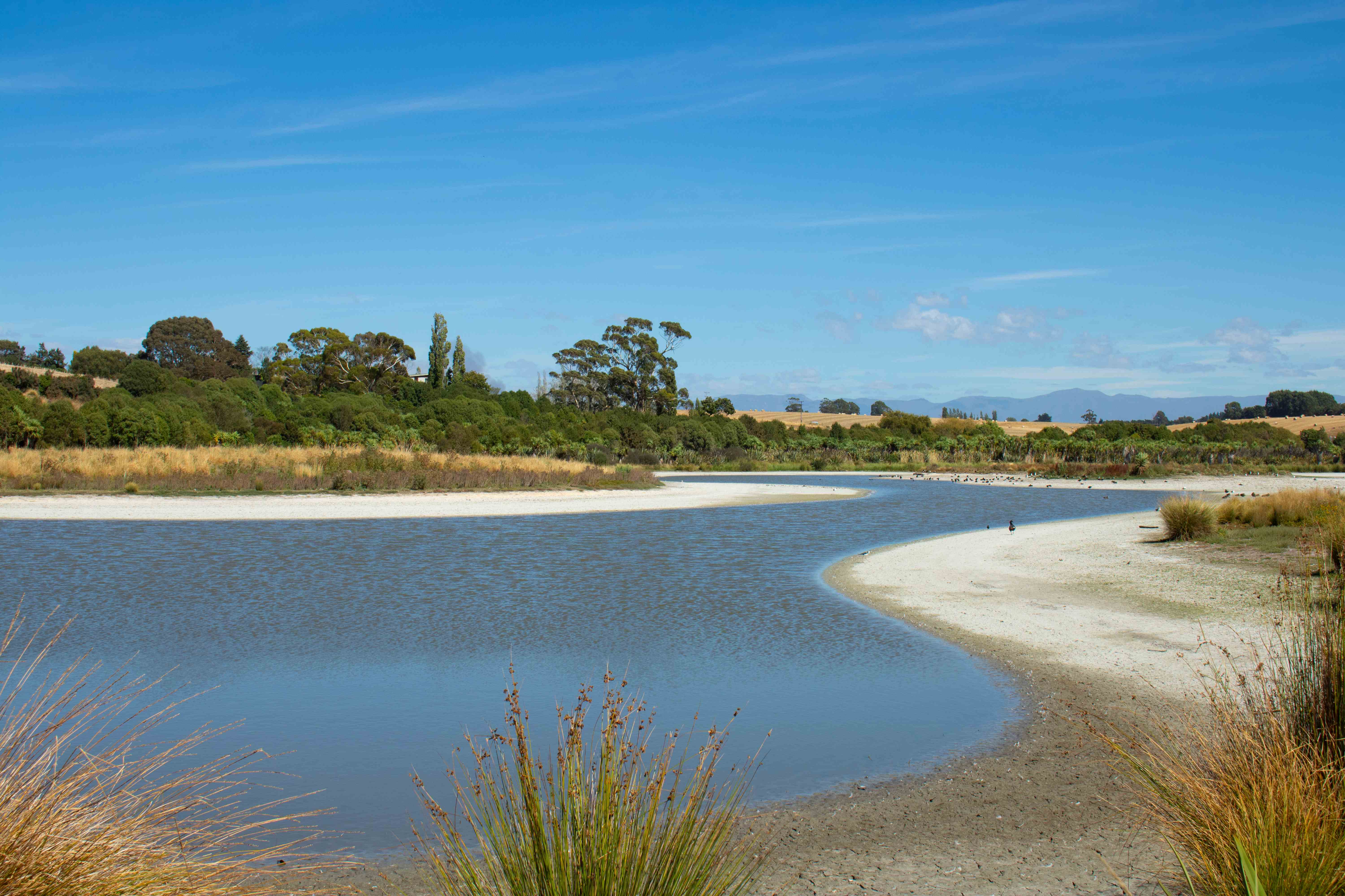 Venture Timaru Tourism - Otipua Wetlands Track